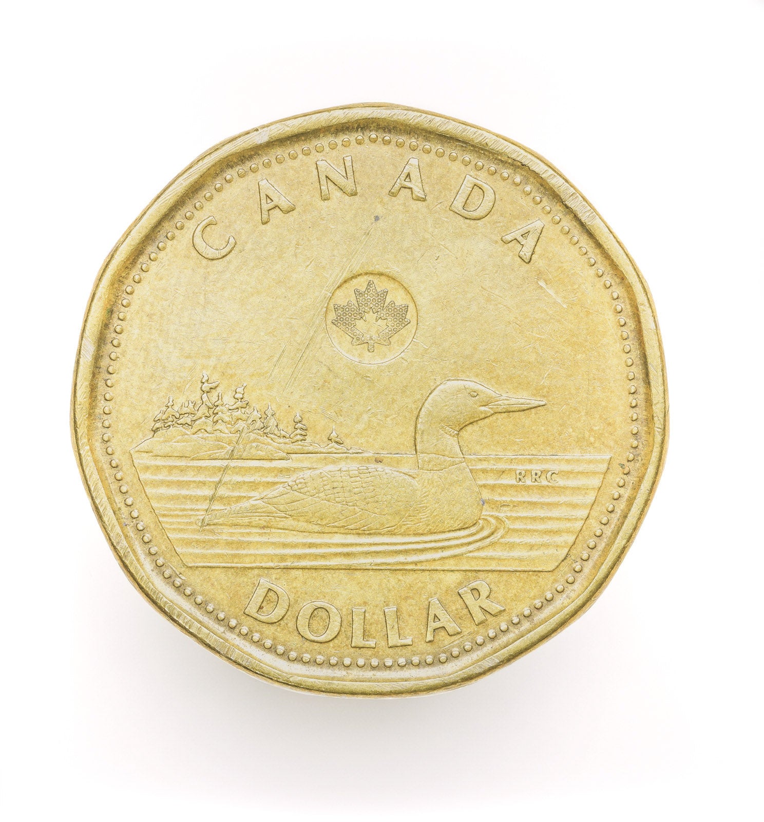 "Loonie" by Peter Andrew - Contemporary Digital Print On Paper